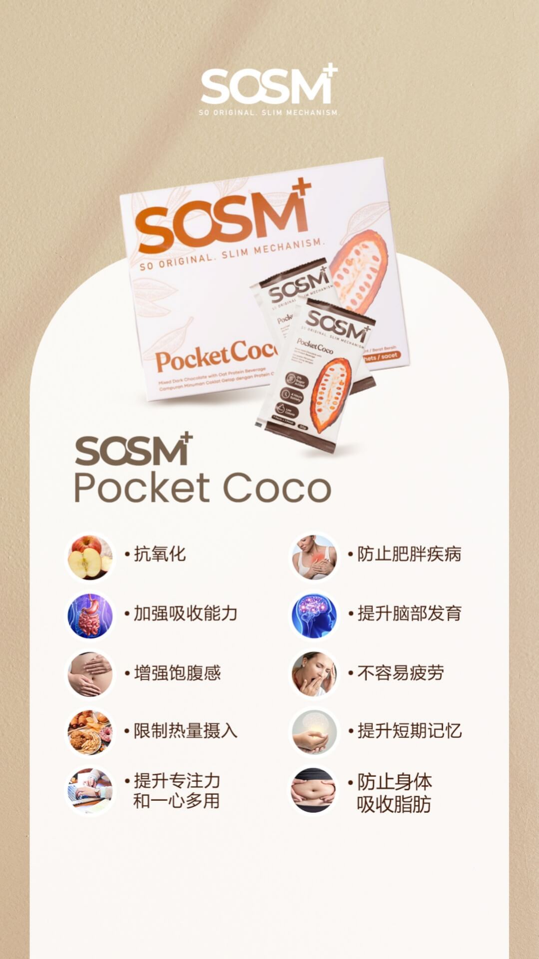 PocketCoco Replacement Meal 3 Boxes Free 1 Box – MissChoong Shop