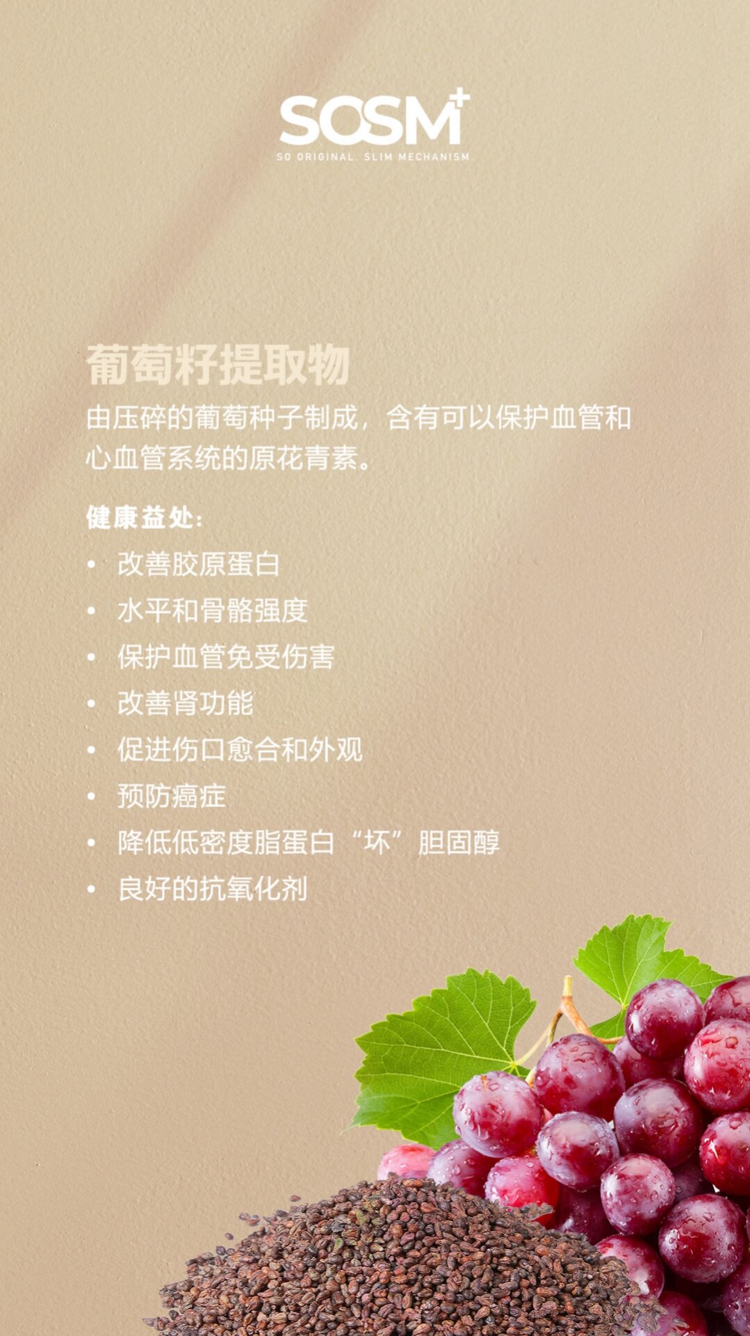 PocketCoco Replacement Meal 2 Boxes – MissChoong Shop