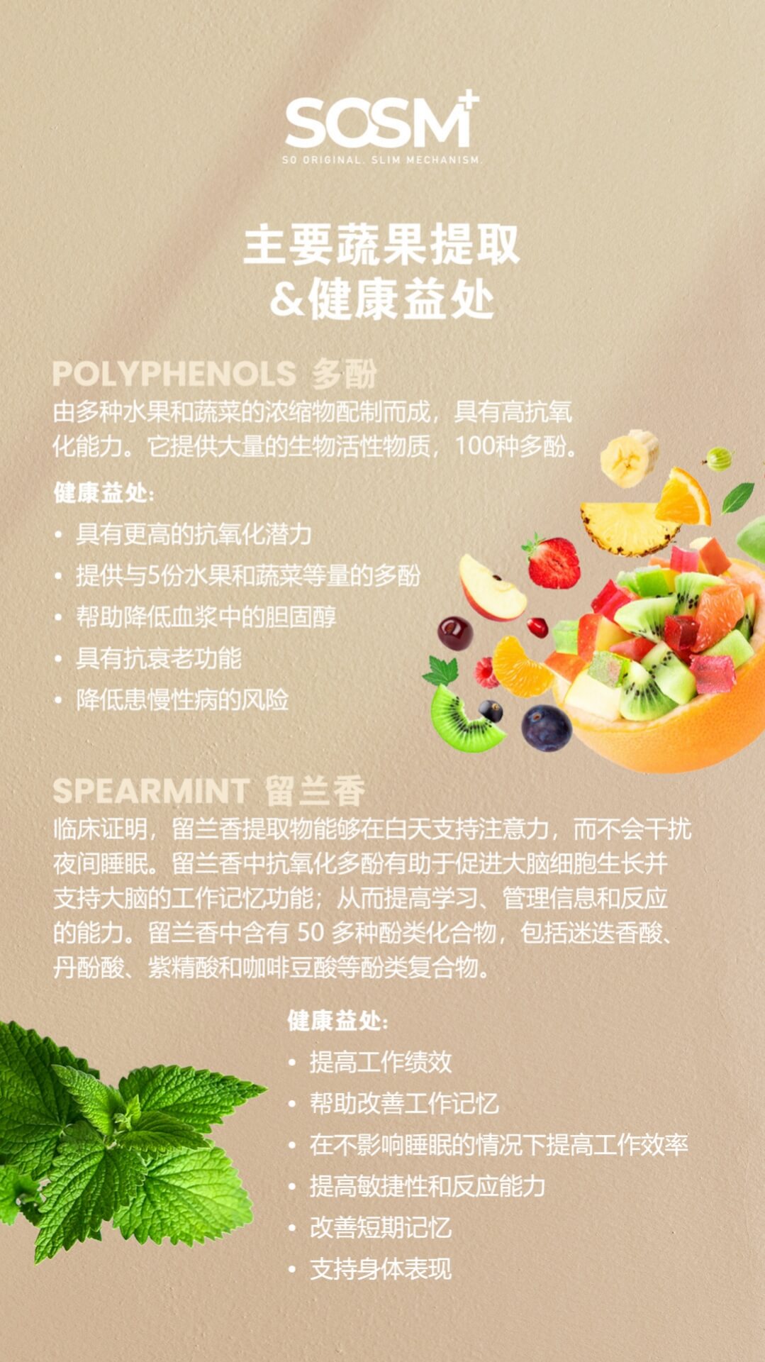 PocketCoco Replacement Meal 2 Boxes – MissChoong Shop